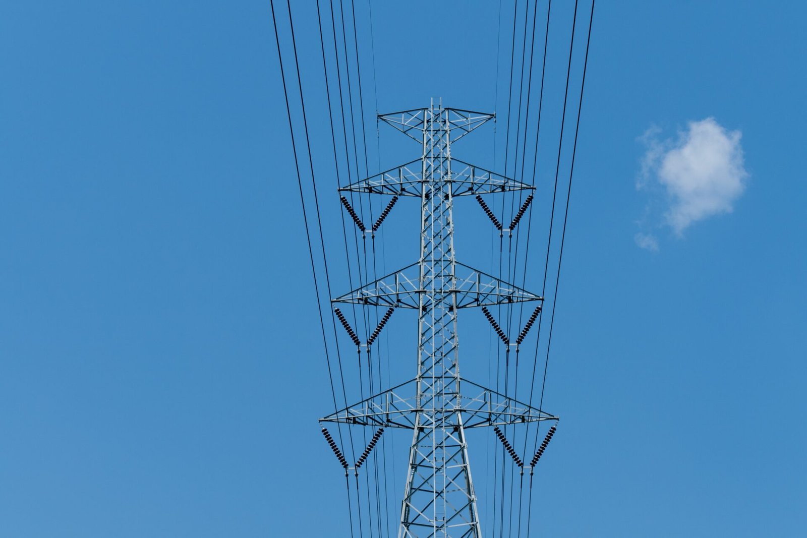 Can You Self Generate The Electricity Bill Of MSEB Online 